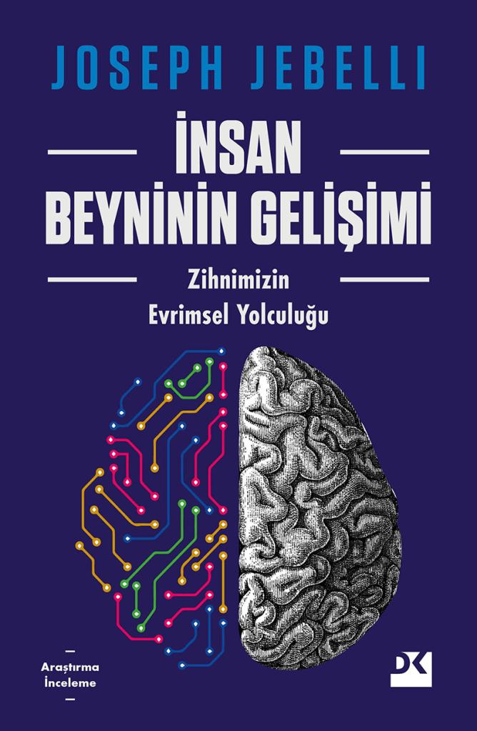 İnsan Beyninin Gelişimi – Dipnotski